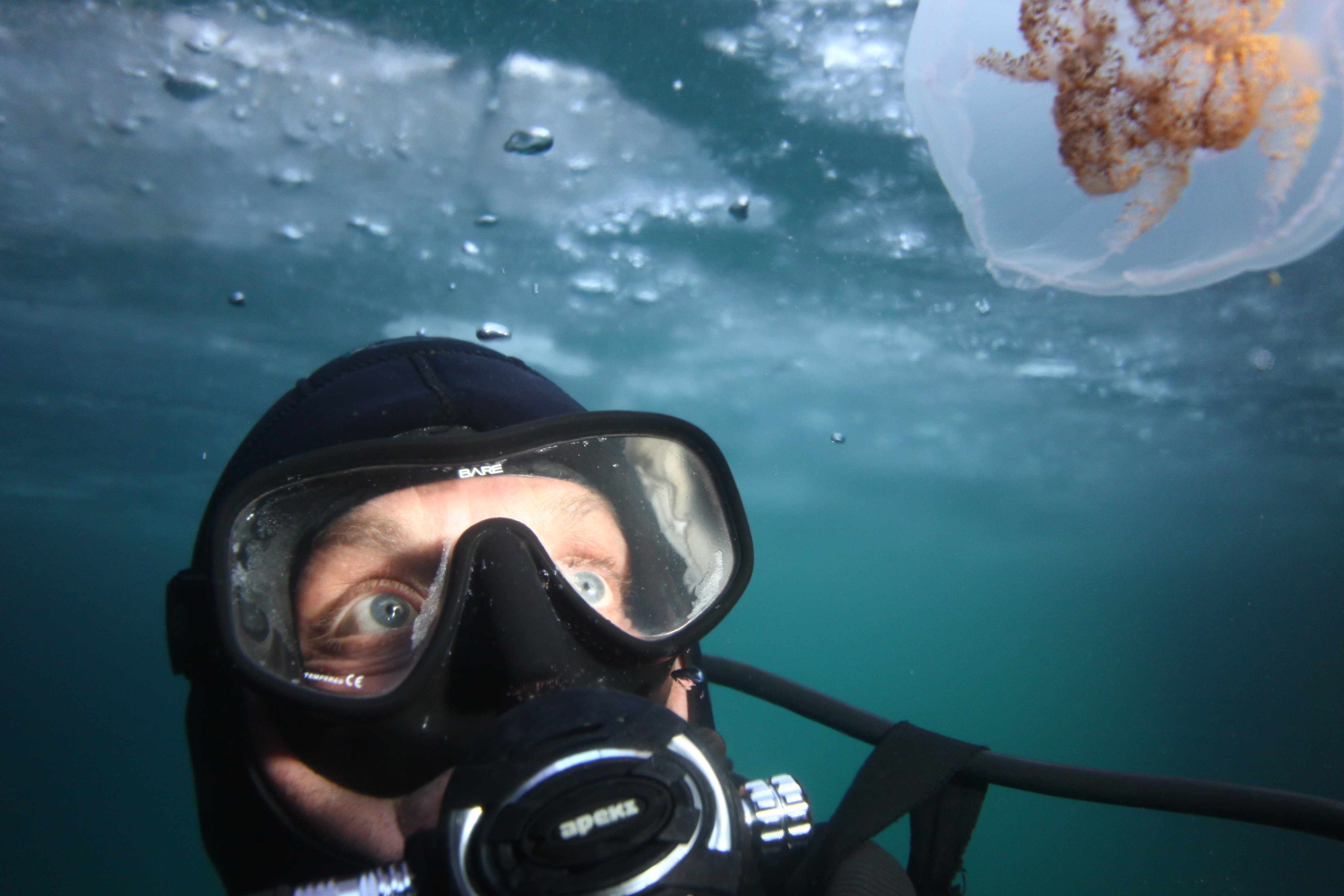 Diving in Iceland - Strýtan DiveCenter - Strytan Divecenter